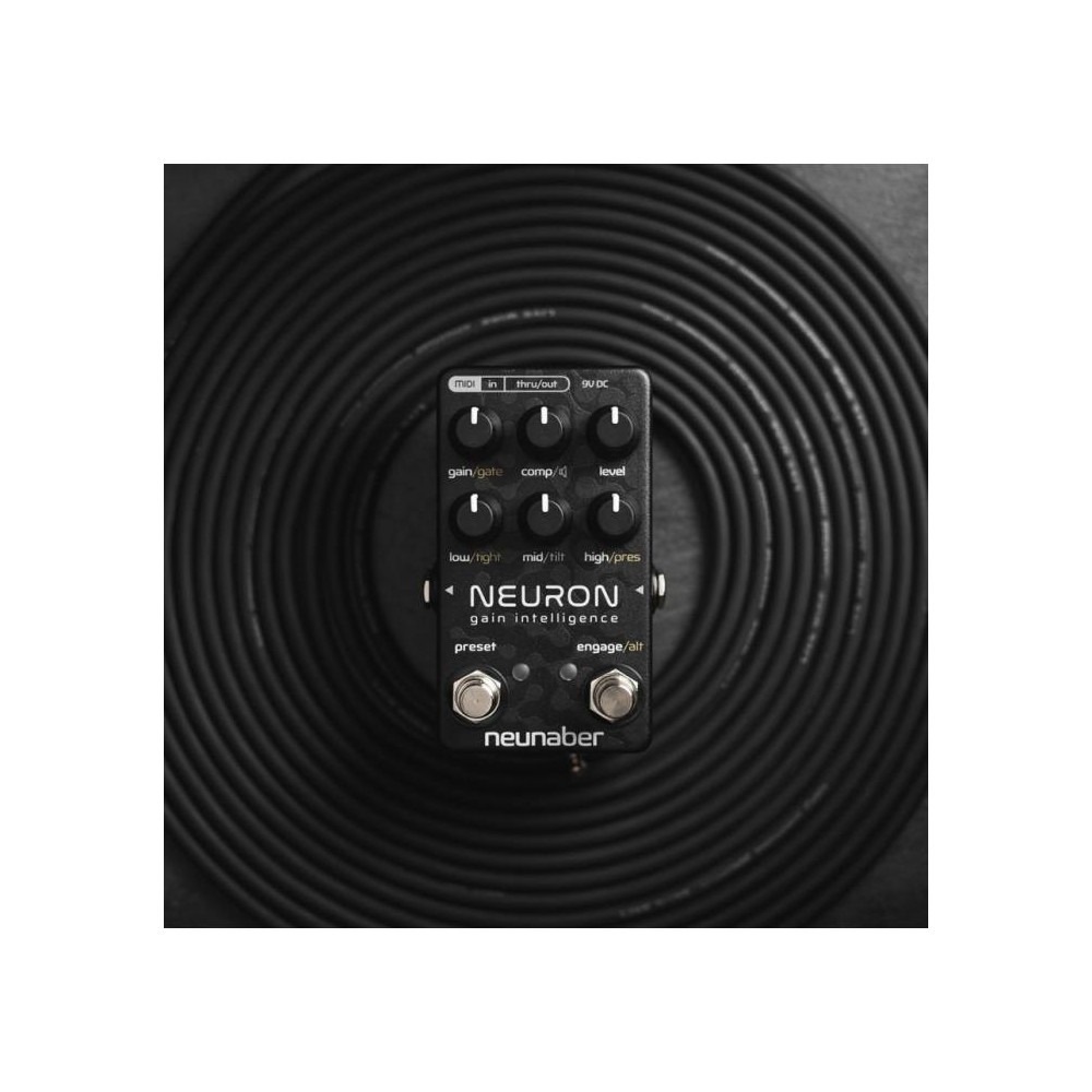 Neunaber Neuron PreAmp