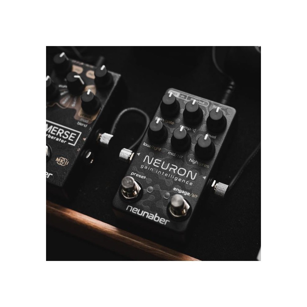 Neunaber Neuron PreAmp